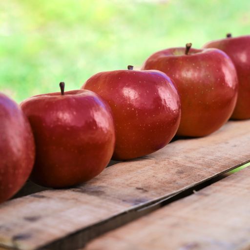 MAIA-Mitchell: A better coloring Evercrisp® - Summit Tree Sales