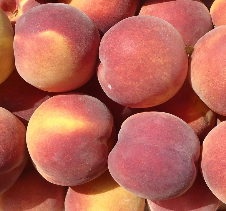 New and Popular Peach Varieties - Summit Tree Sales